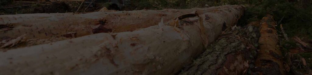 Waratah | Built to Work | Logging & Forestry Equipment