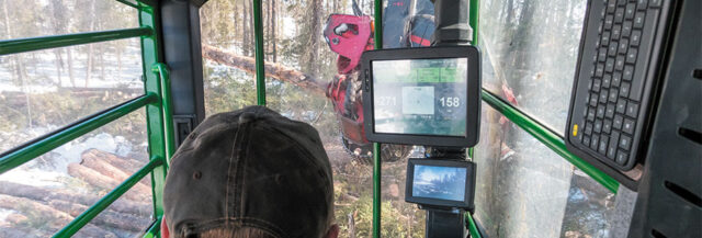 Forestry Products - Waratah